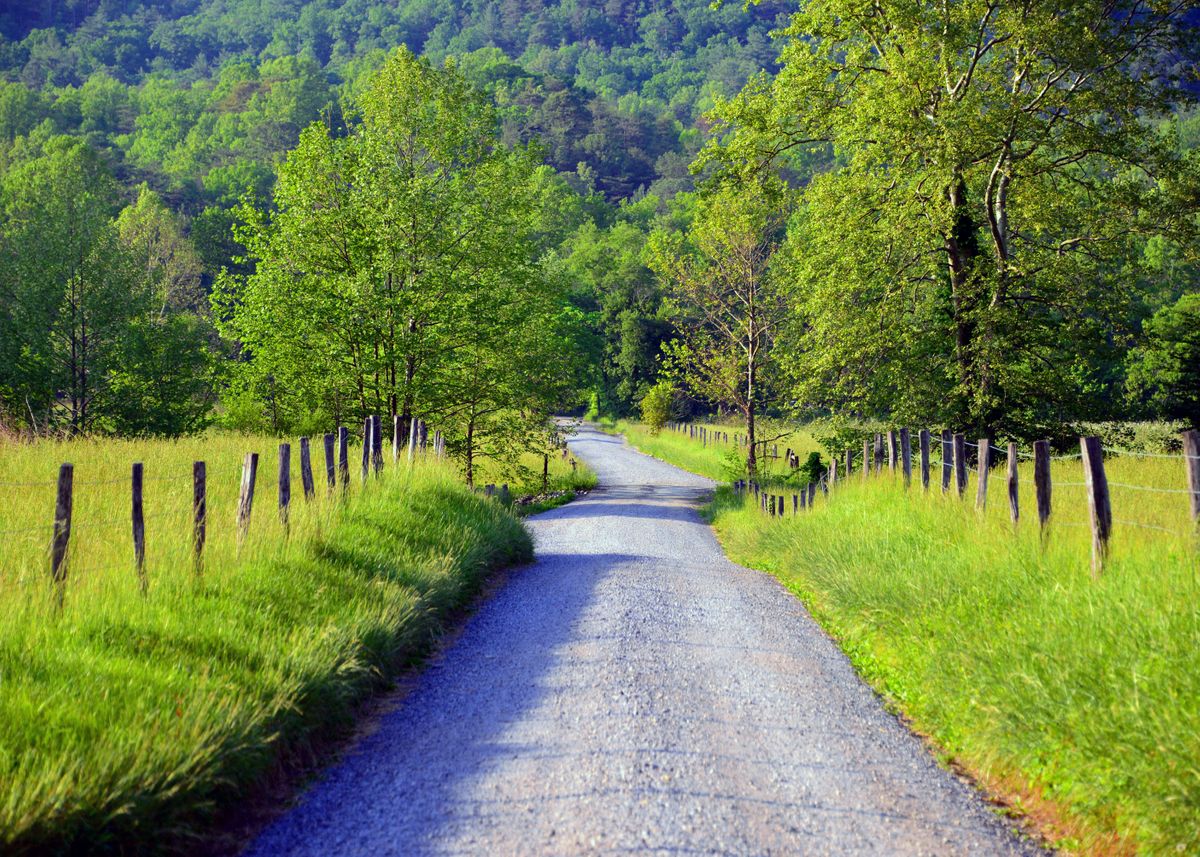 'Country roads' Poster, picture, metal print, paint by David Thompson ...