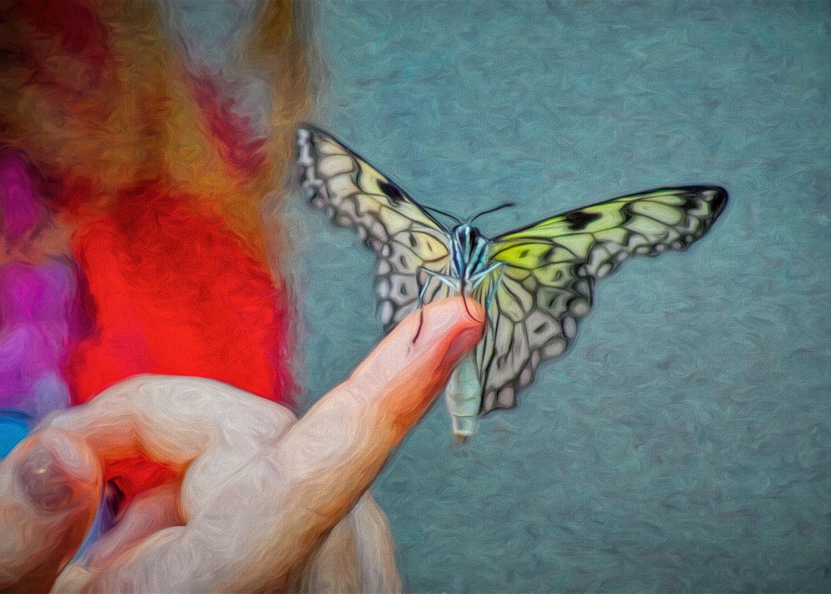 'Finger Perch' Poster, picture, metal print, paint by Joyce Steele ...