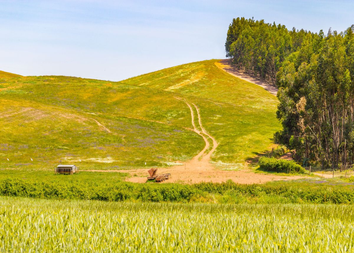 'Beautiful farm field' Poster, picture, metal print, paint by Lisandro ...