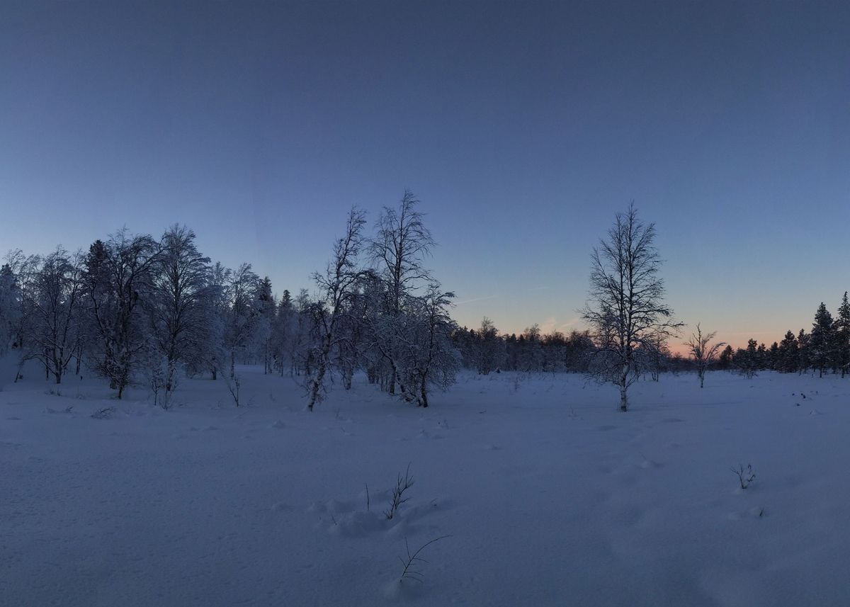 'Snow in the morning' Poster, picture, metal print, paint by CHRIS LAI ...