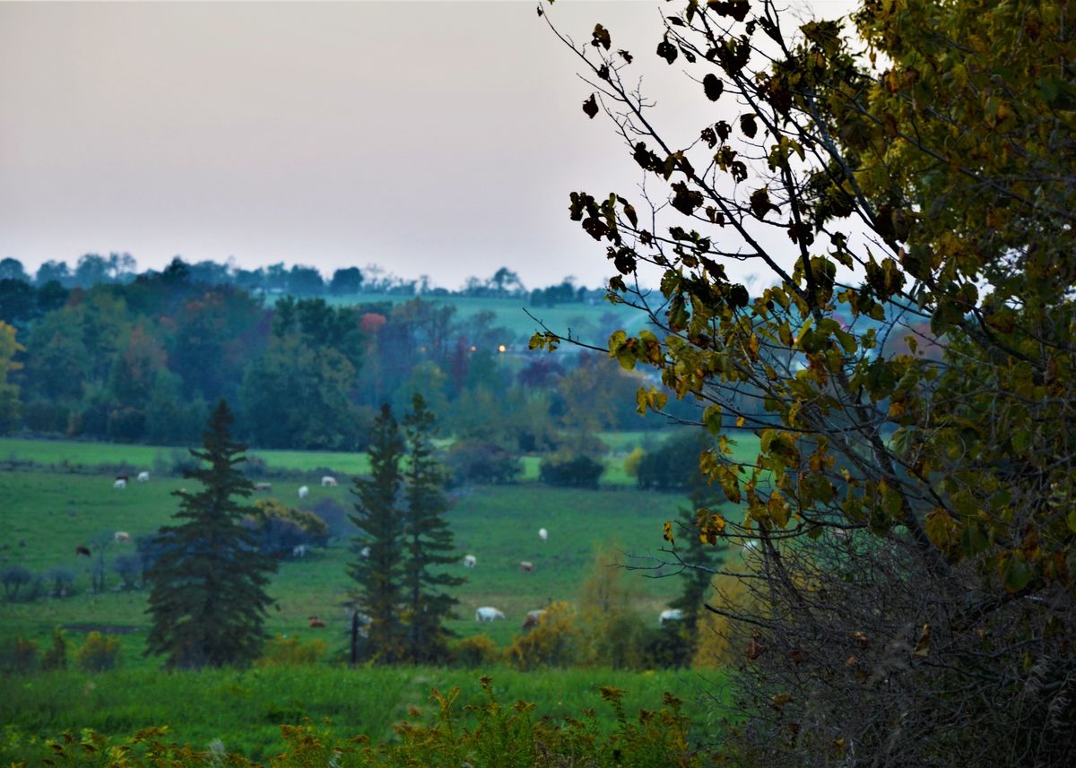 'Small Valley Living' Poster by Benjamin Fraser | Displate