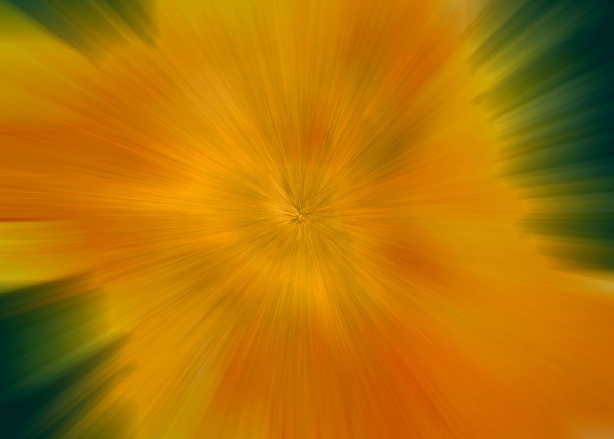 'Sun Rays' Poster by Mandy Collins | Displate