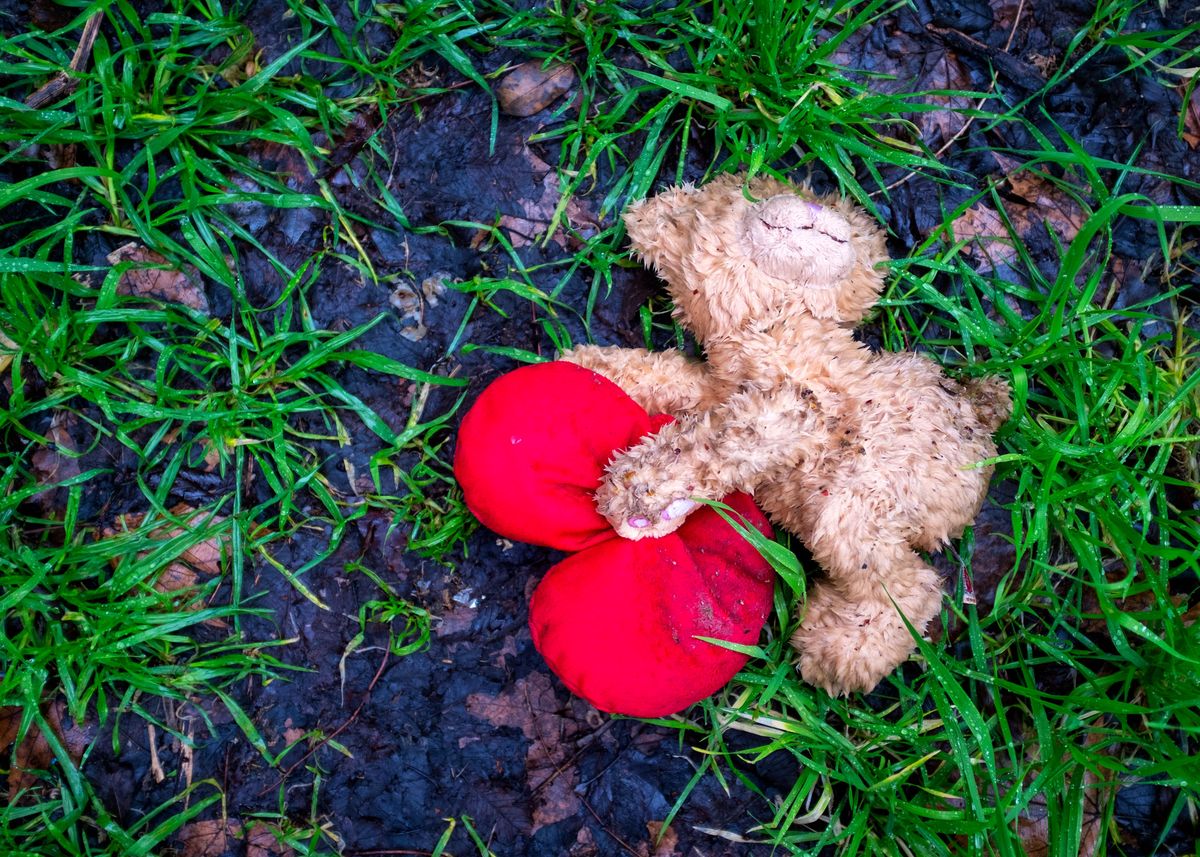 'Discarded teddy bear' Poster by Fabrizio Troiani | Displate