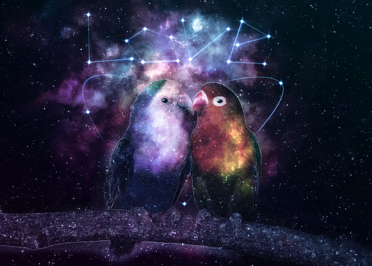 'Galaxy Kissing Parrot Love' Poster by Lemo Boy | Displate