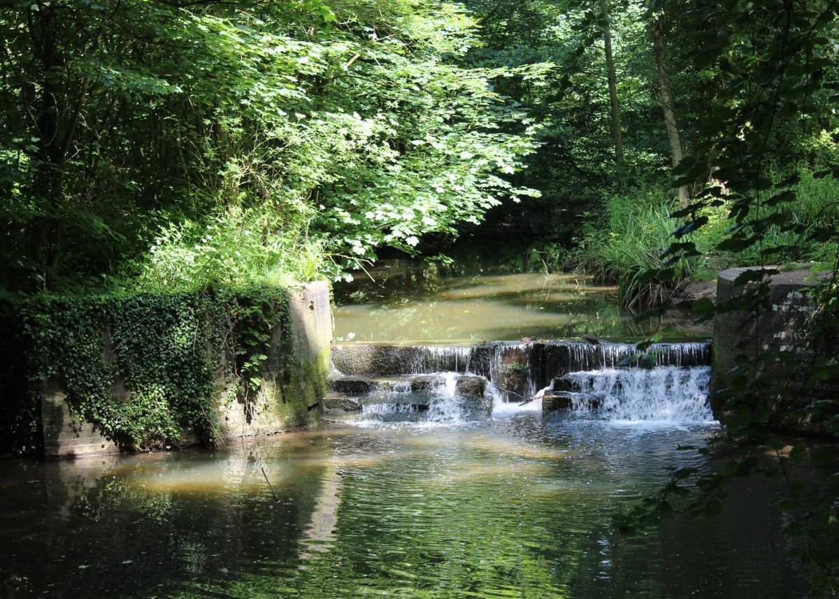 'Feral Flow' Poster, picture, metal print, paint by Jamie Norton | Displate