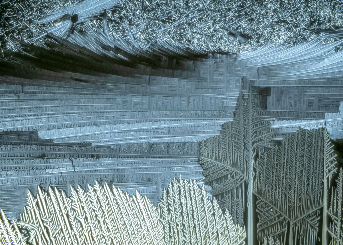 'Alien Carbon Forest II' Poster by Wojtek Plonka | Displate