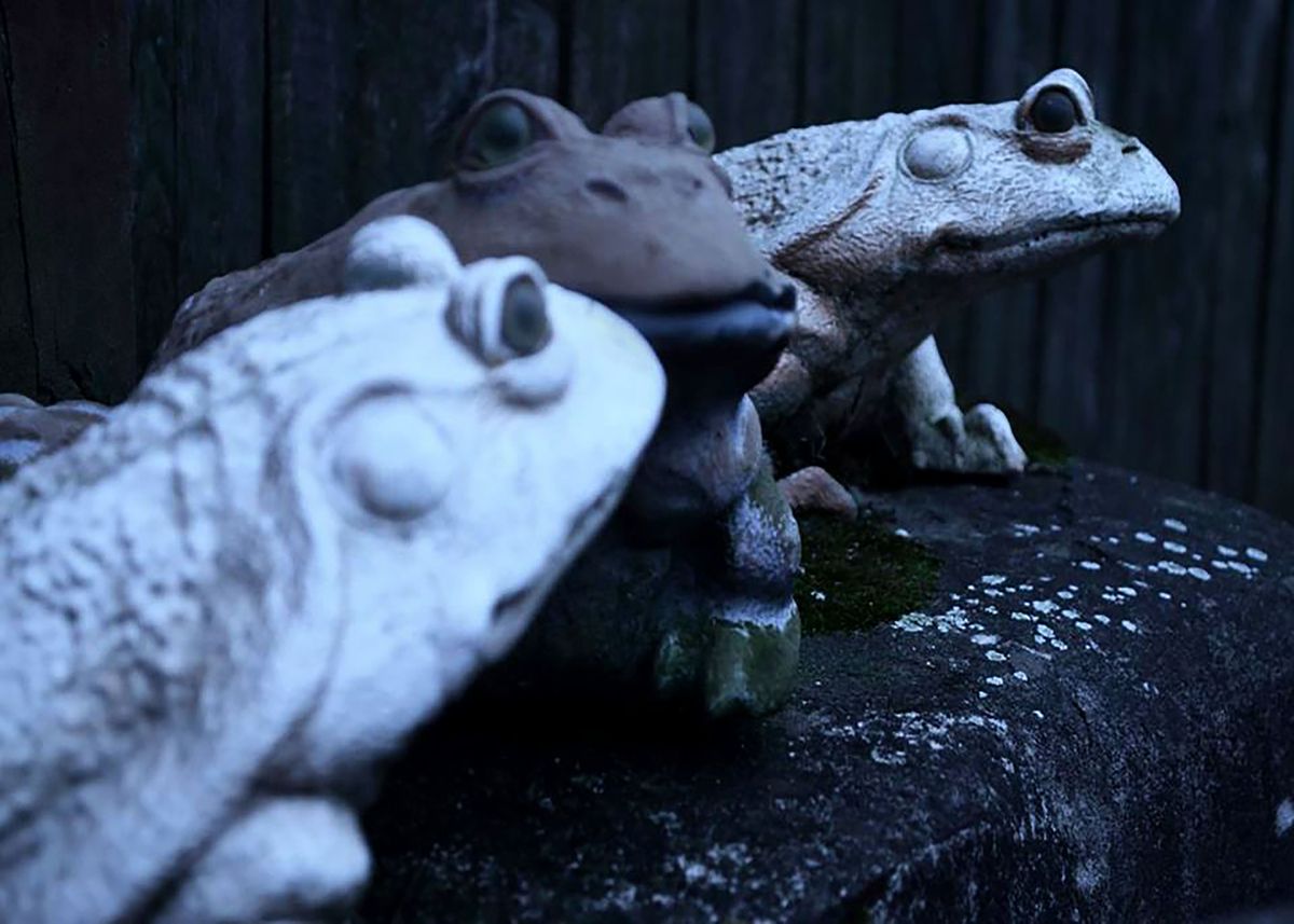 'Council of the Frogs' Poster, picture, metal print, paint by Ruth ...