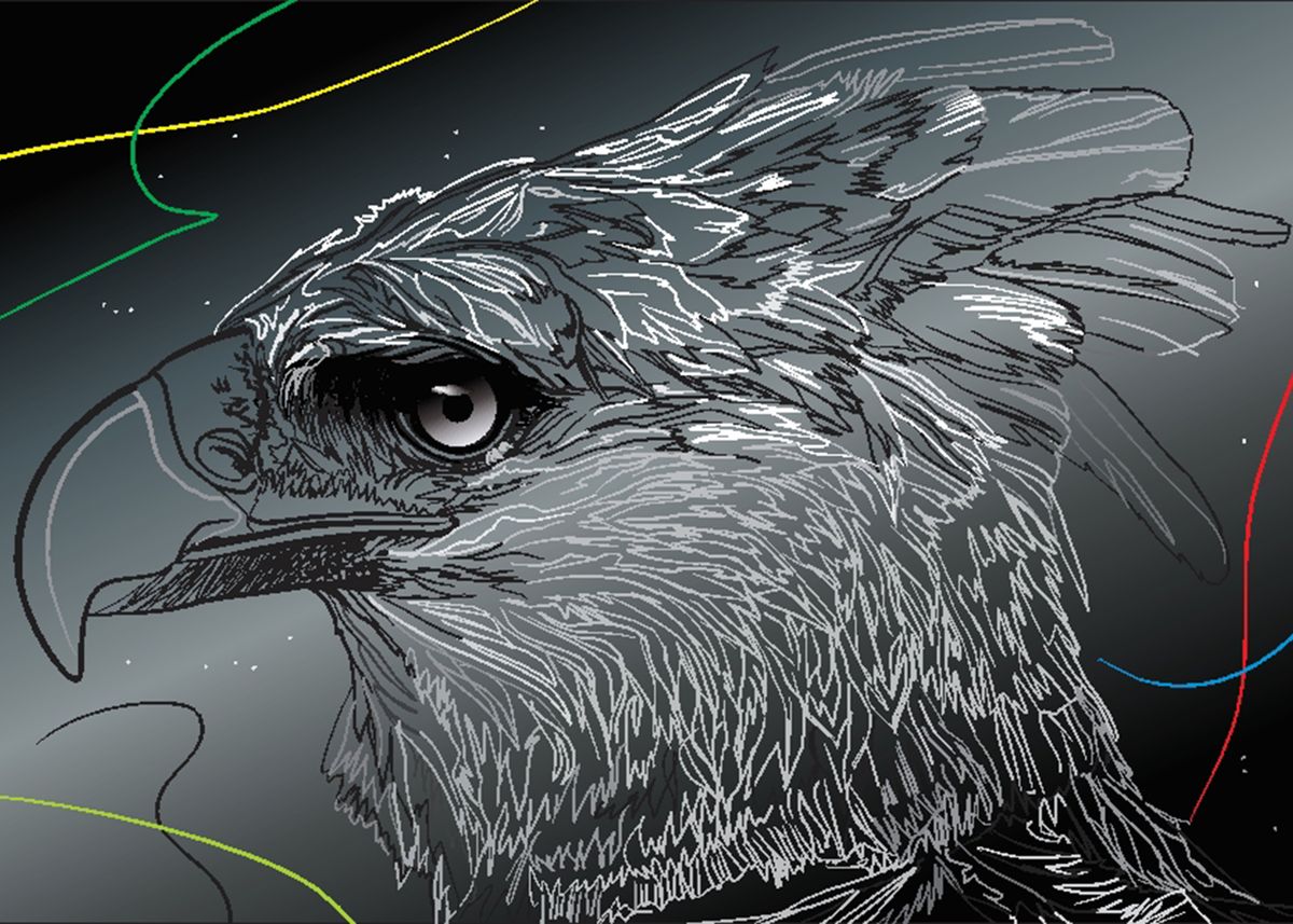 'Harpy' Poster, picture, metal print, paint by Marcos Borges | Displate