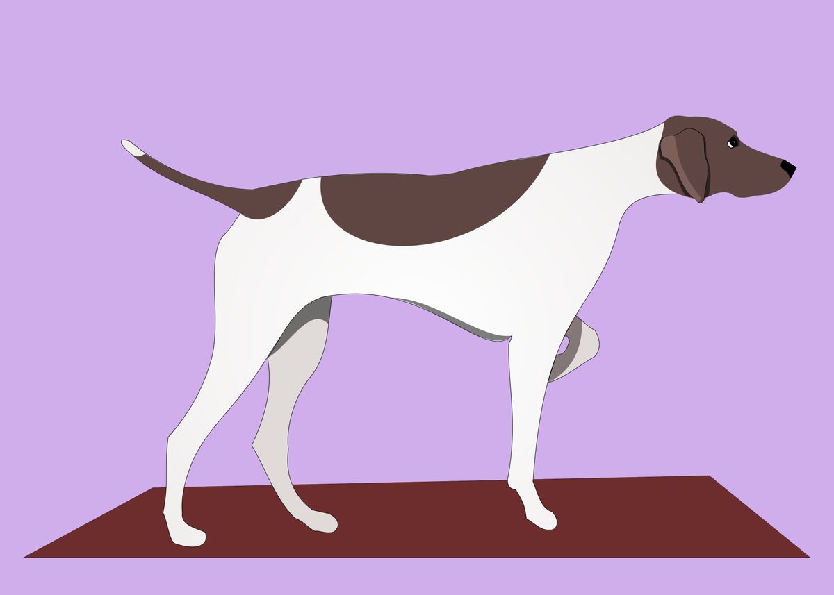 'Pointer Pose' Poster, picture, metal print, paint by Marran Art | Displate