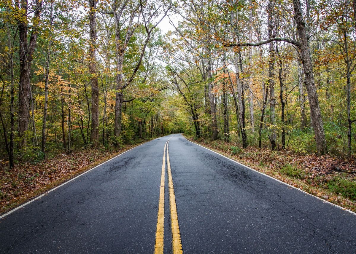 'Country Roads' Poster, picture, metal print, paint by Brandon Gray ...