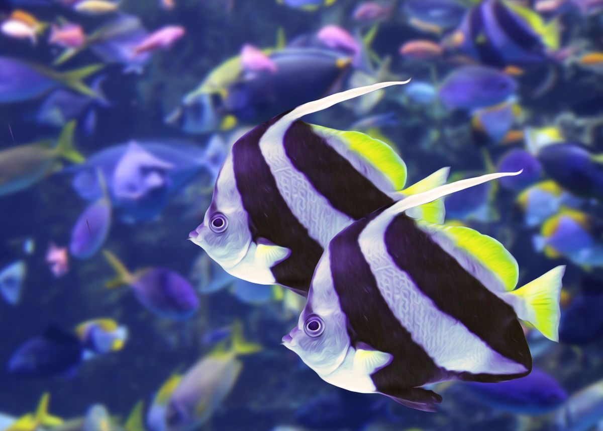 'Schooling Bannerfish' Poster, picture, metal print, paint by Buck ...