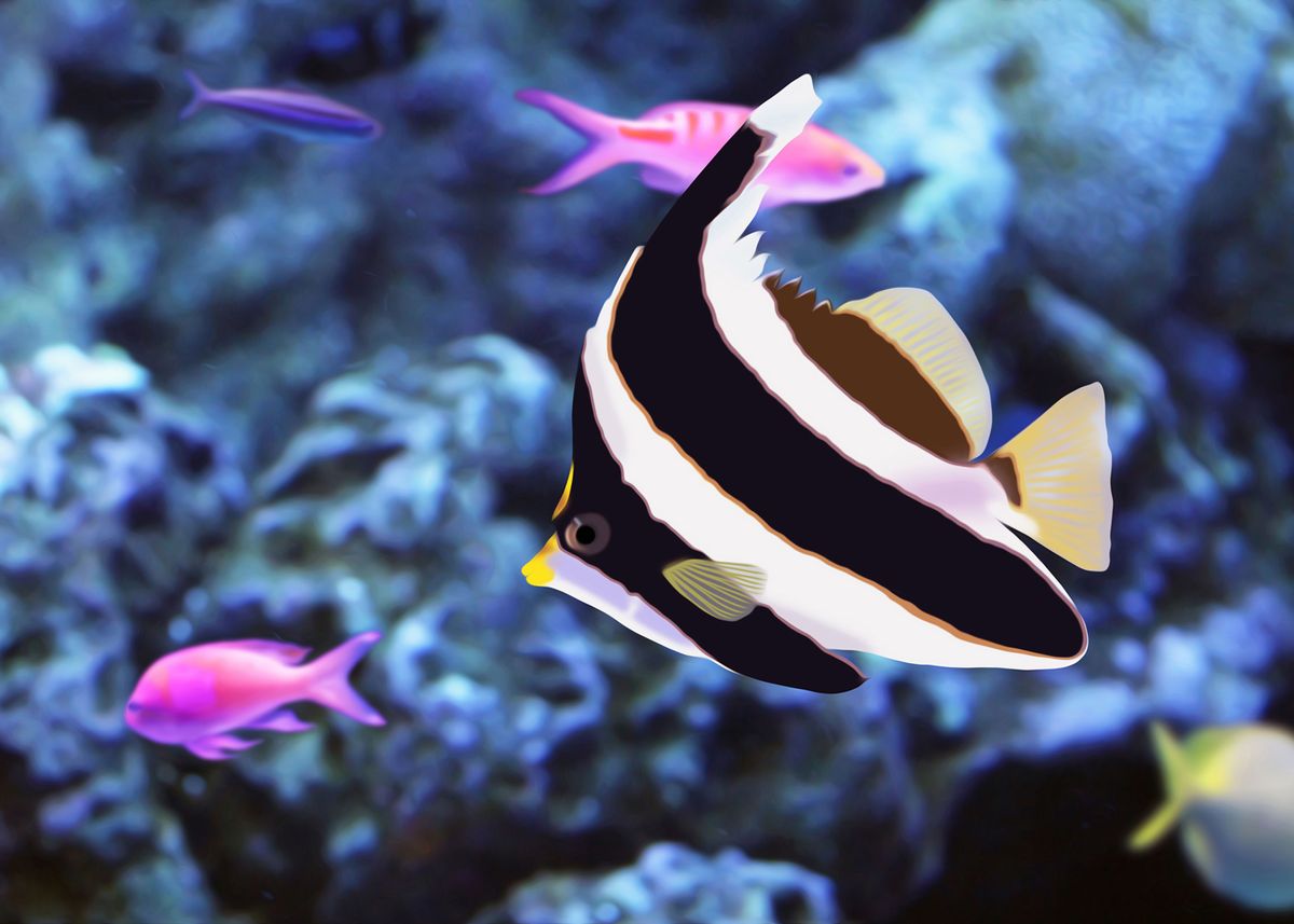 'Pennant Bannerfish' Poster, picture, metal print, paint by Buck ...