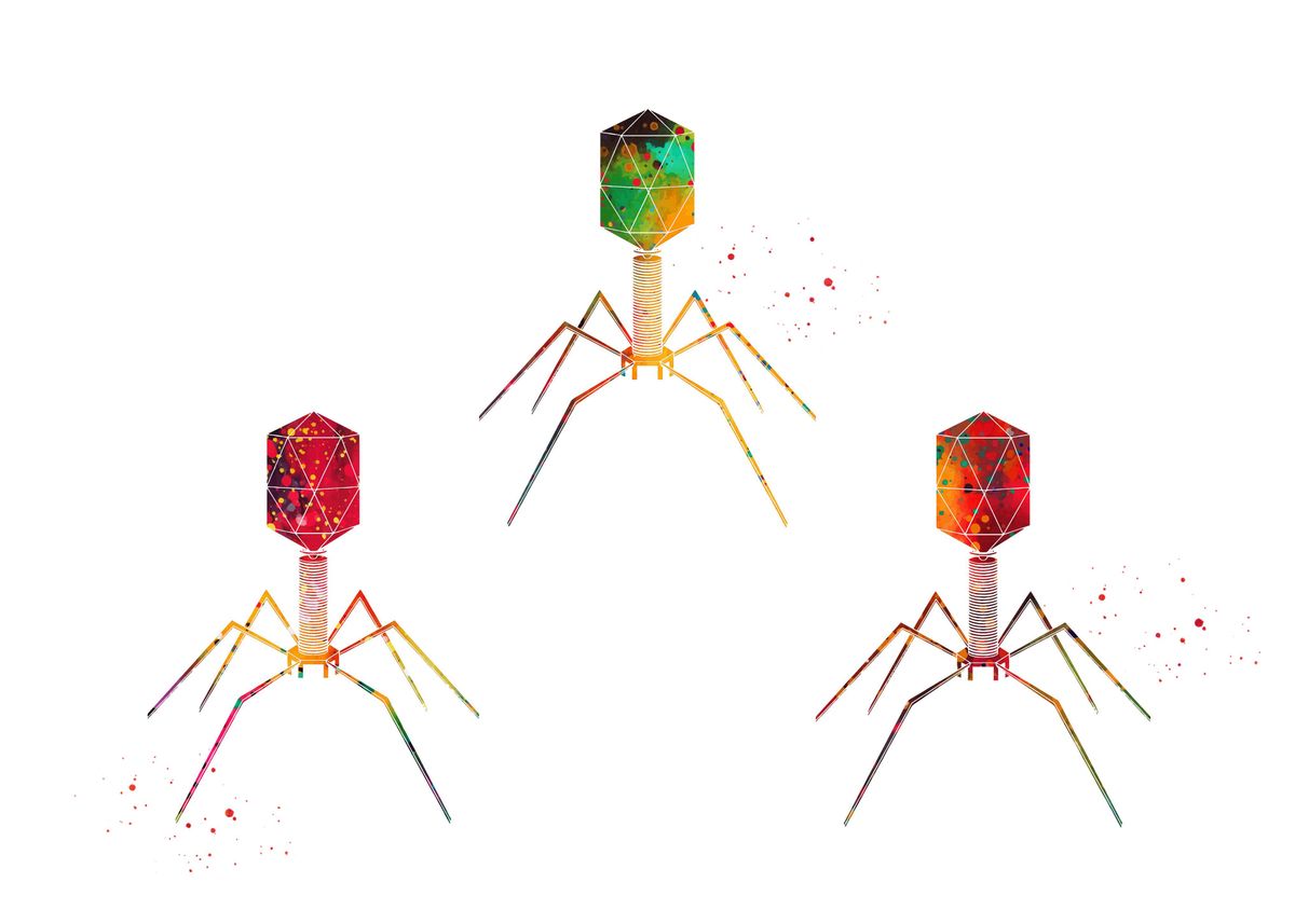 'Bacteriophage ' Poster, picture, metal print, paint by Erzebet Prikel ...