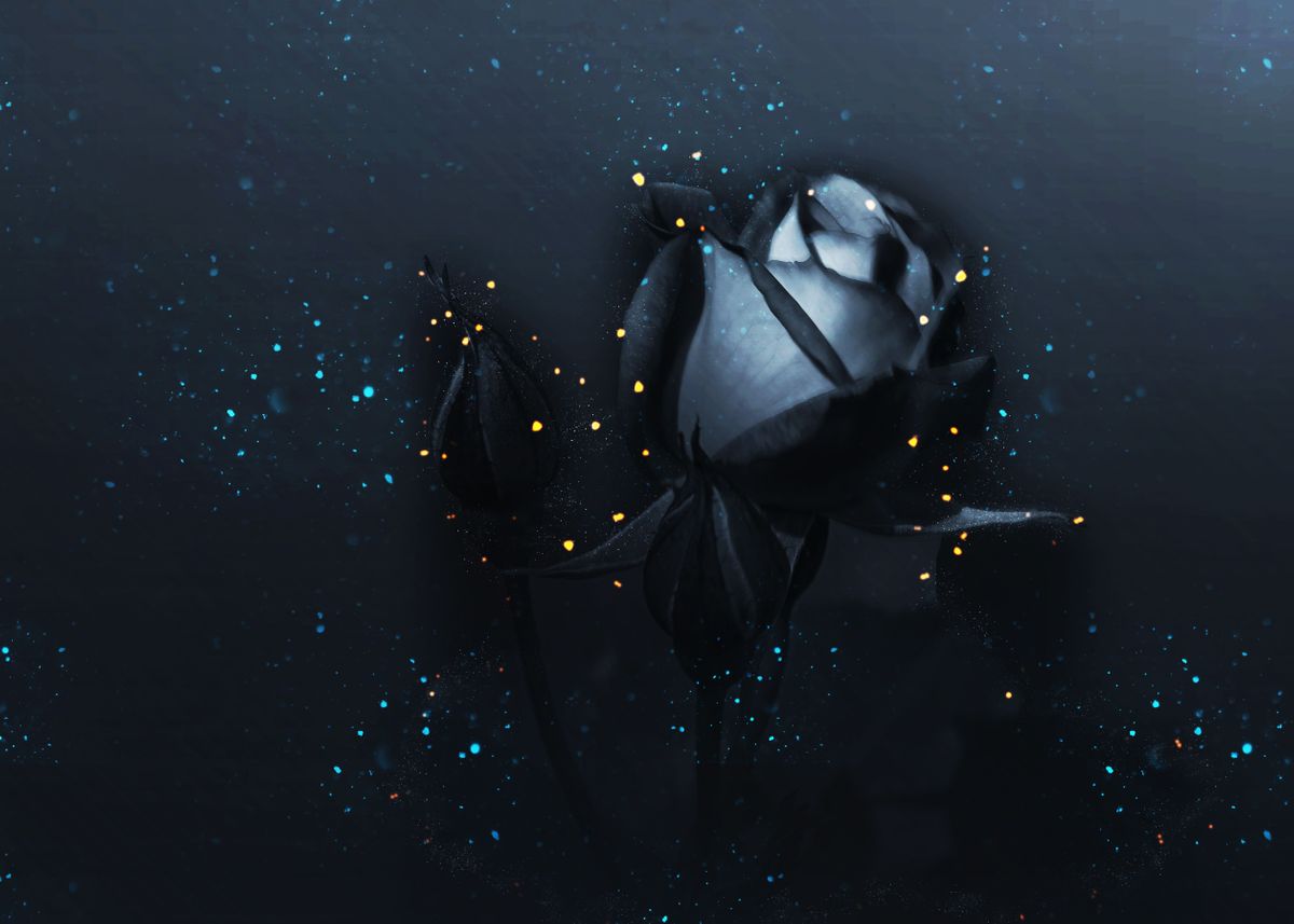 'Black Roses' Poster, picture, metal print, paint by 4T4 Design Studio ...