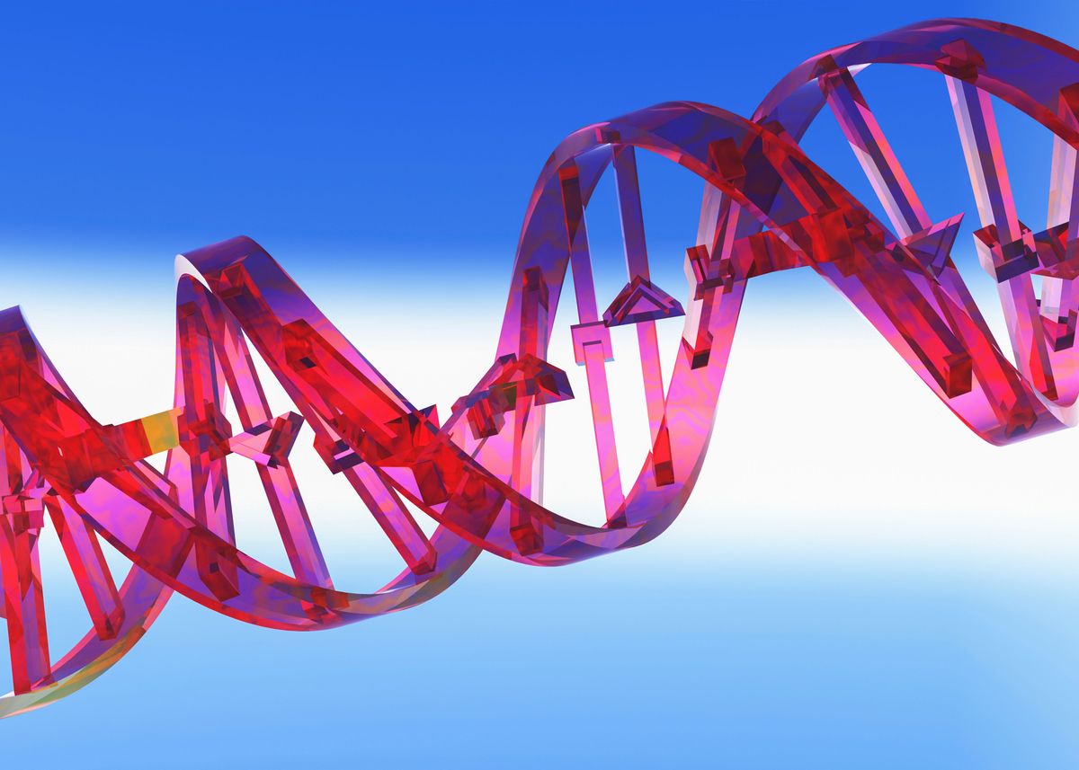 'DNA Strand' Poster, picture, metal print, paint by Bruce Rolff | Displate