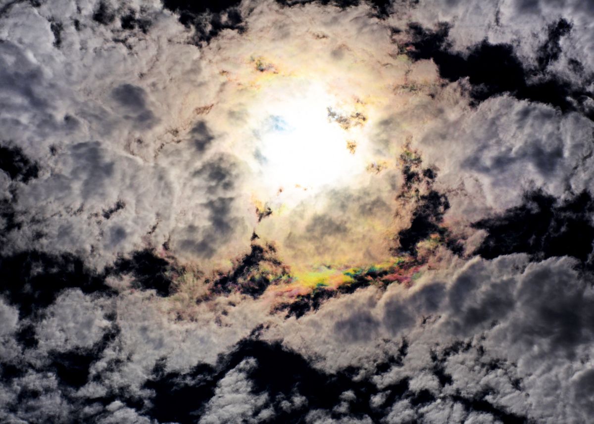 'Staring at the Sun 2' Poster, picture, metal print, paint by Paula HH ...