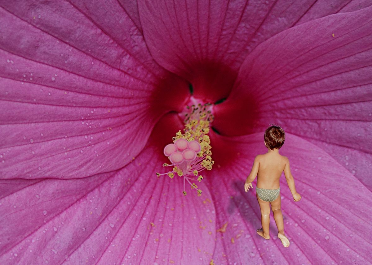 'Flower child' Poster, picture, metal print, paint by Sal Guglielmino ...