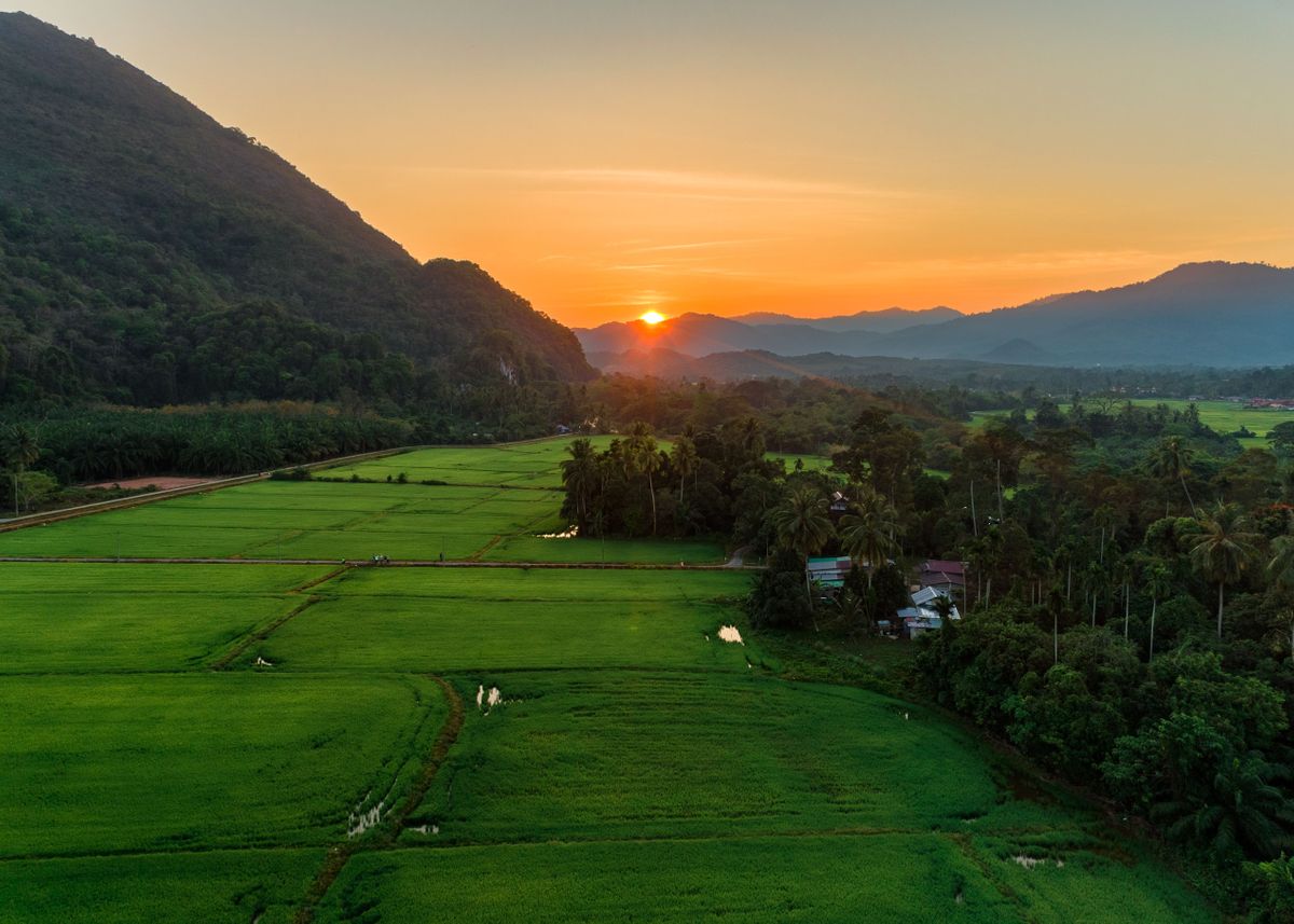 'The Sources of Life' Poster, picture, metal print, paint by Syed ...