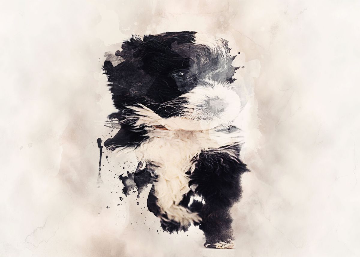 'Bernedoodle Classic Sepia ' Poster, picture, metal print, paint by ...