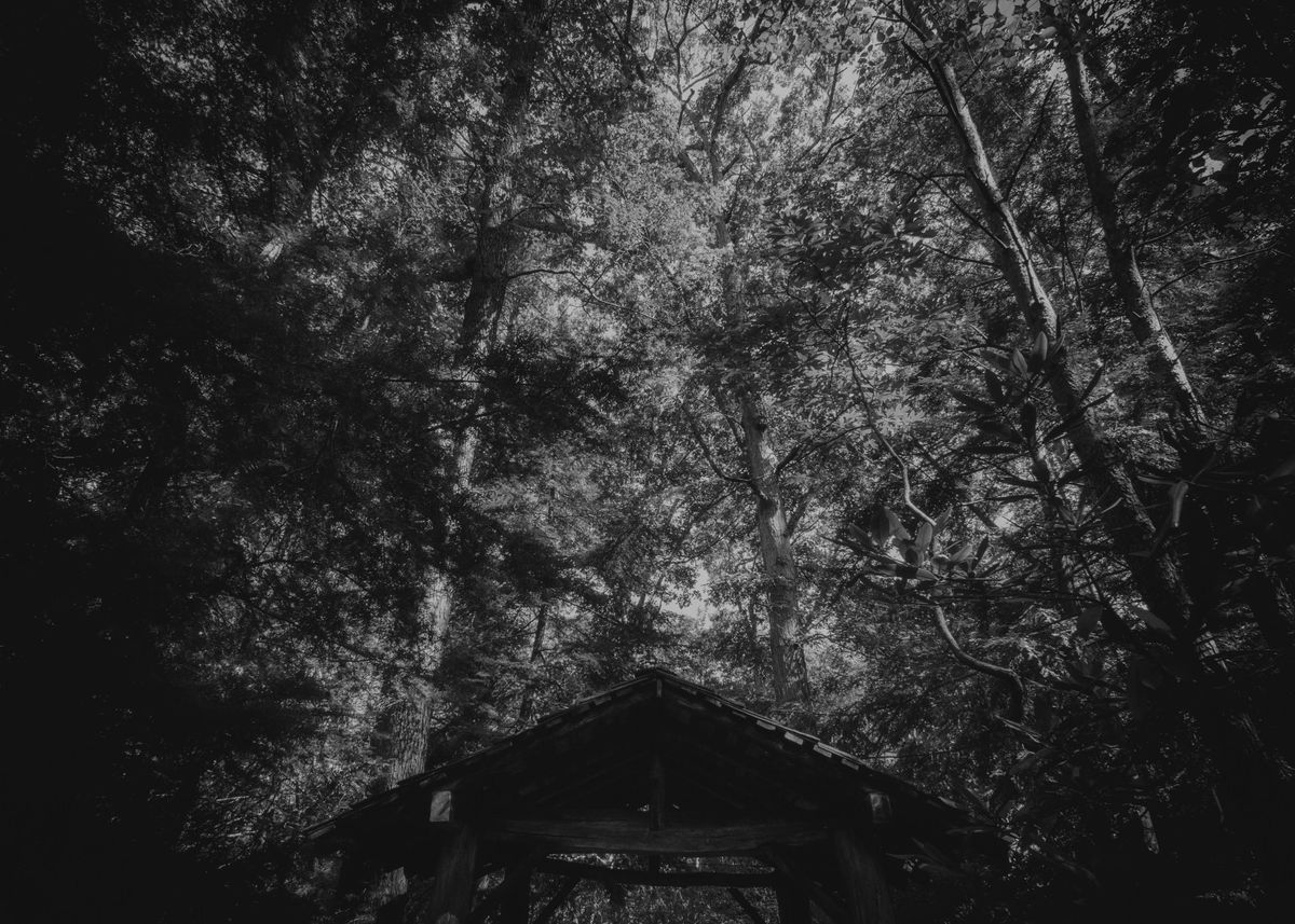 'Sach' Poster by Michael-Jamar Jean Francois | Displate