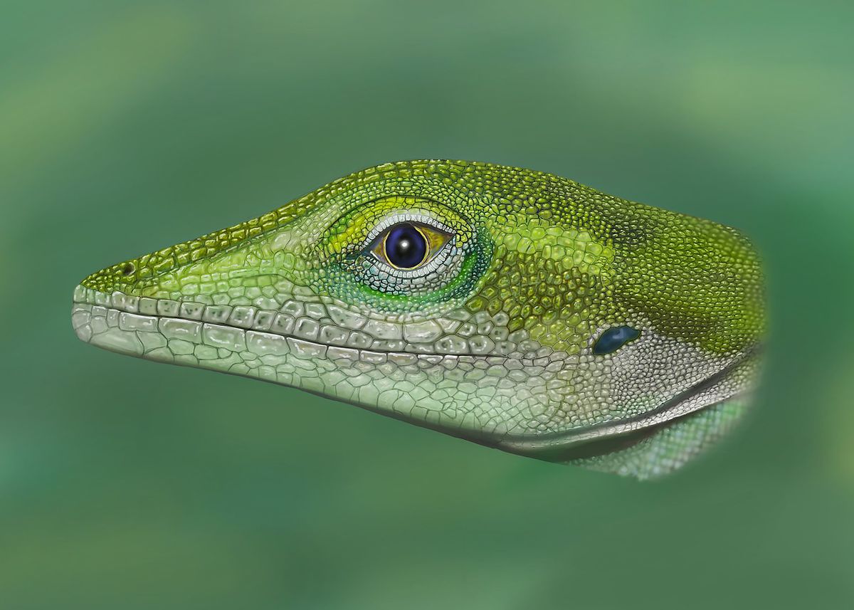 'Green Anode' Poster, picture, metal print, paint by james woodie ...