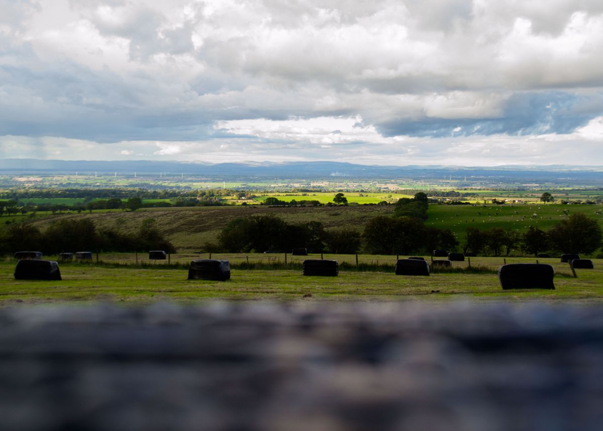 'Droplets Bails' Poster, picture, metal print, paint by Hannah Smaile ...