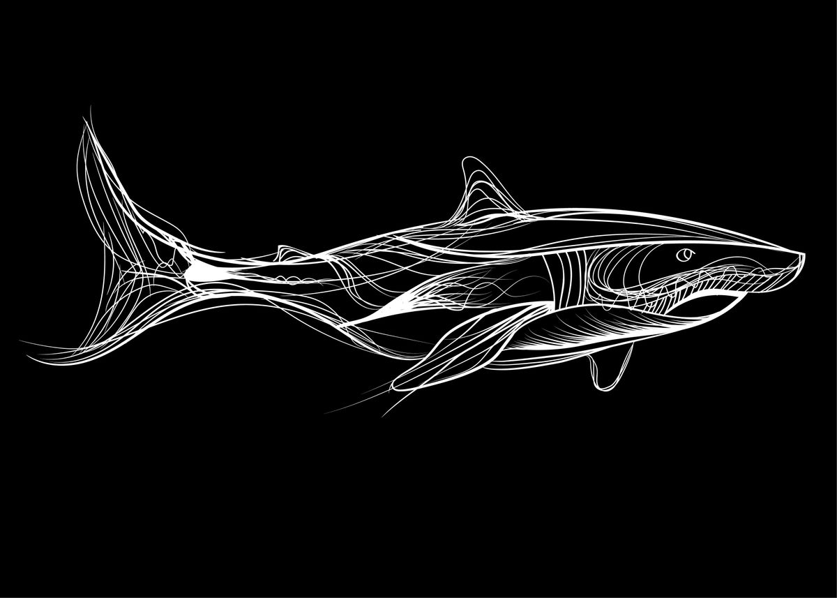 'Shark lines' Poster by mariana anchondo | Displate