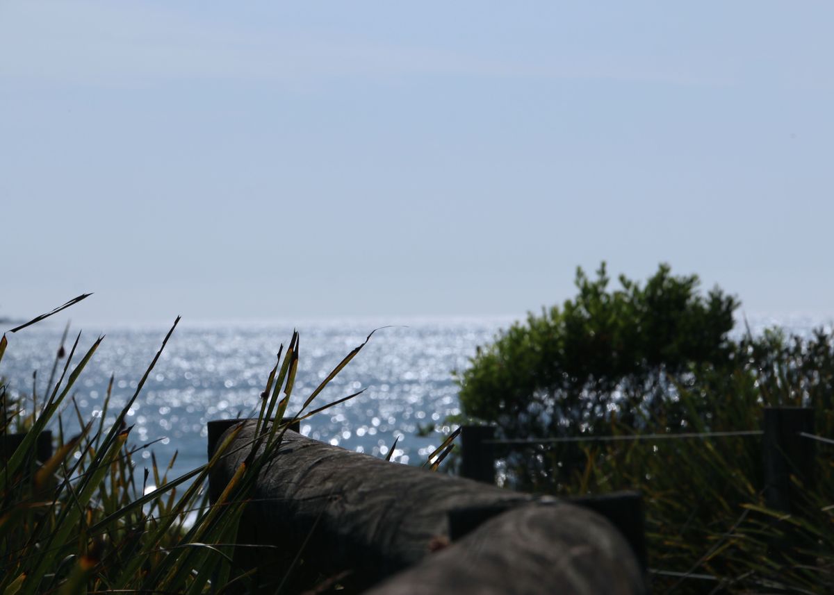 'Look Out' Poster by Brendon Brown | Displate