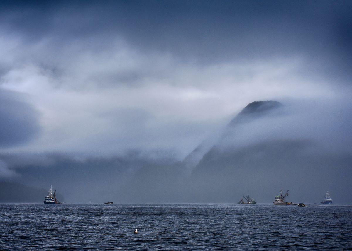 'Salmon Seiners' Poster, picture, metal print, paint by Savanah Plank ...