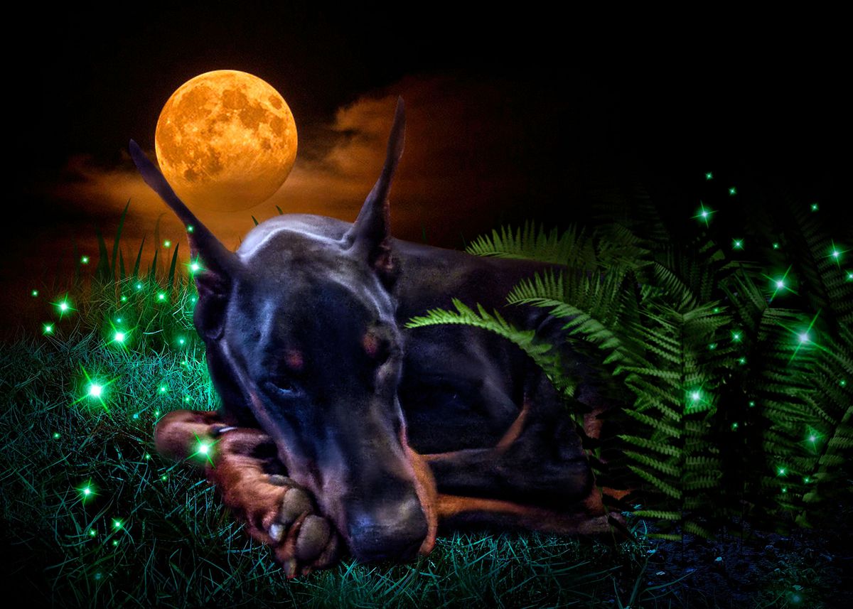 'Magic night' Poster, picture, metal print, paint by Irina Potemkina ...