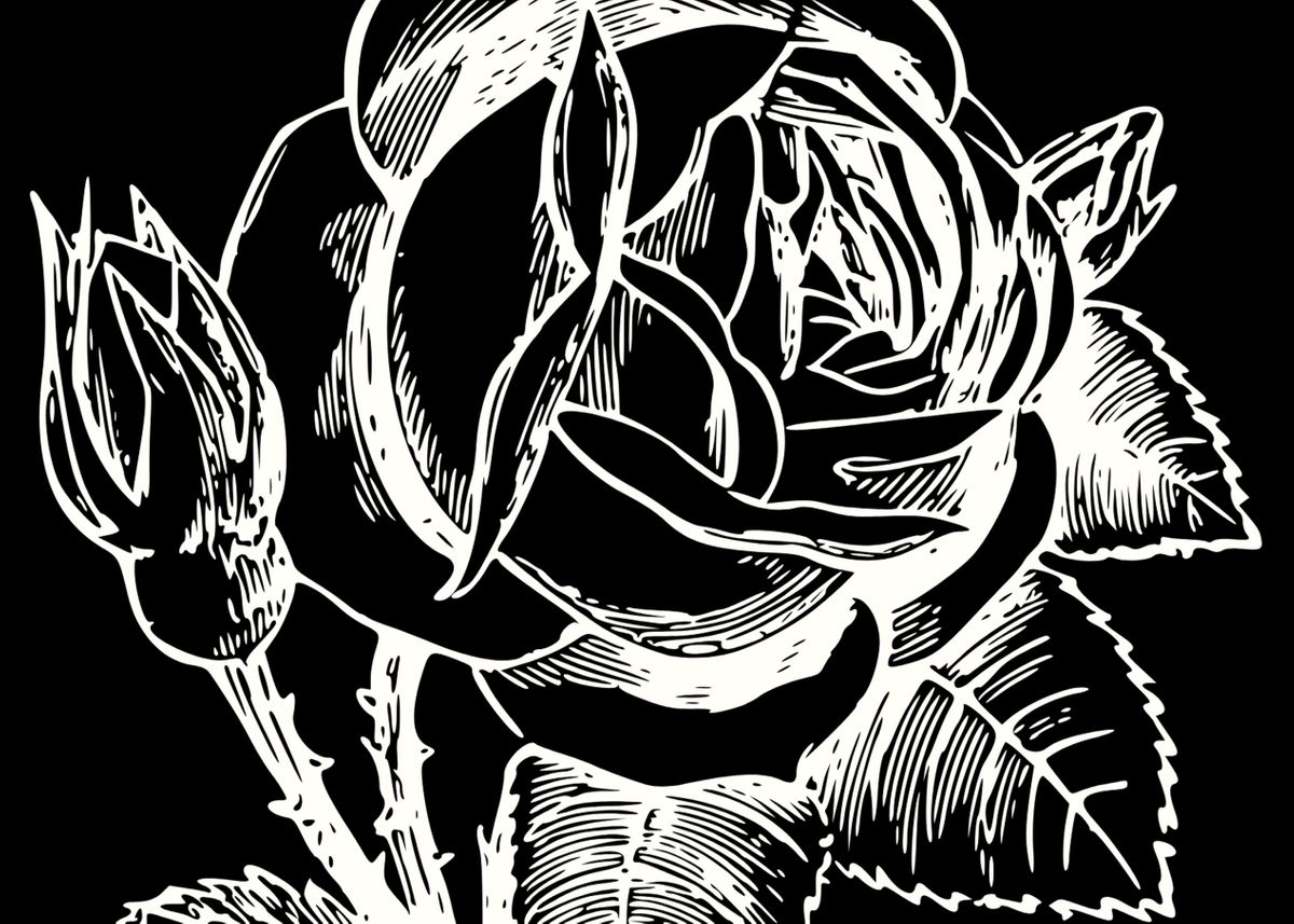'Inverted Sketched Rose ' Poster, picture, metal print, paint by ...
