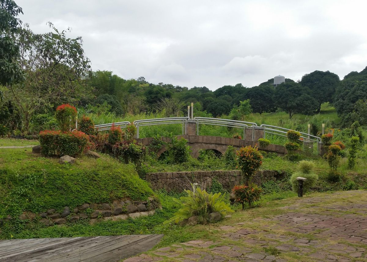 'Nature 2' Poster by Archist Design | Displate