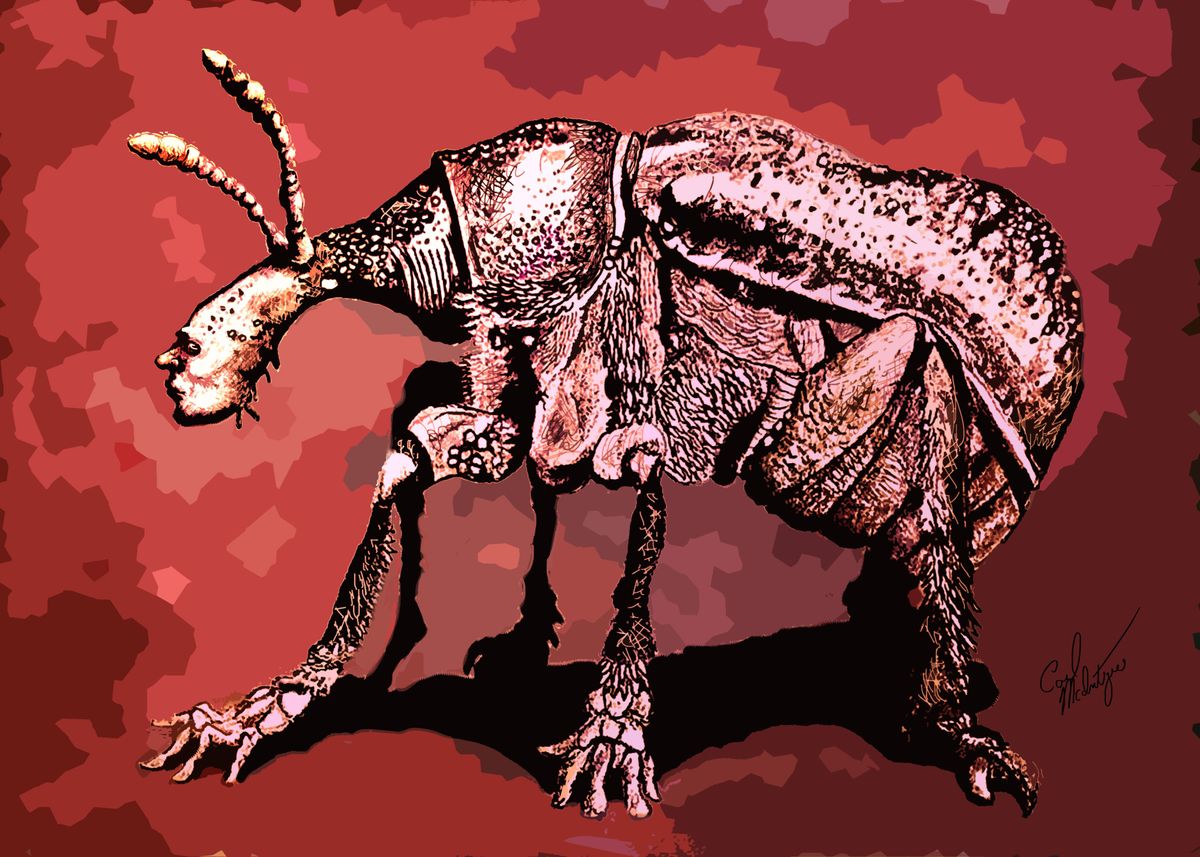 'The Beetle Man' Poster by Carl McIntyre | Displate