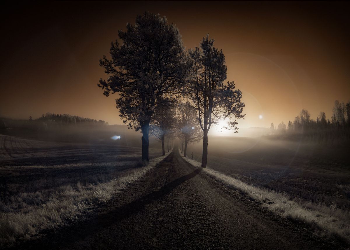 'Morning glare' Poster by Pawel Kaim | Displate