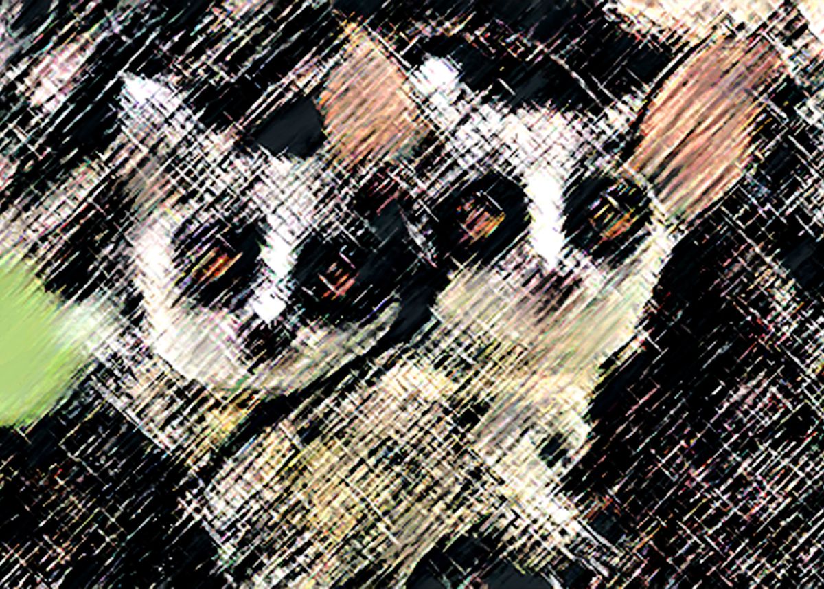 'Hibernation' Poster, picture, metal print, paint by African Mammals ...