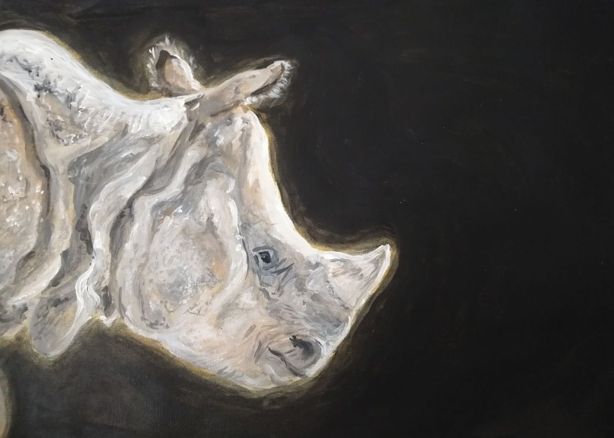 'Javan Rhino' Poster, picture, metal print, paint by Anna Emilia ...