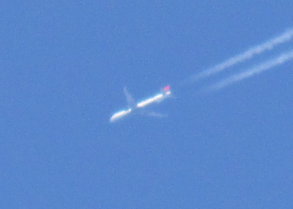 'Fly away' Poster, picture, metal print, paint by Tiffany Talmage ...