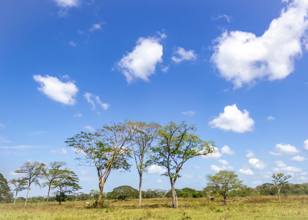 'venezuela landscape' Poster, picture, metal print, paint by eric ...