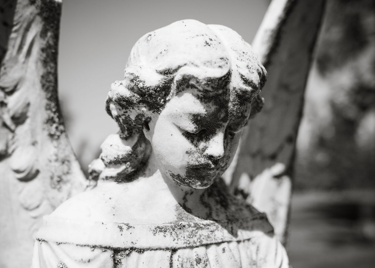 'Angel Face' Poster, picture, metal print, paint by Amber Katya ...