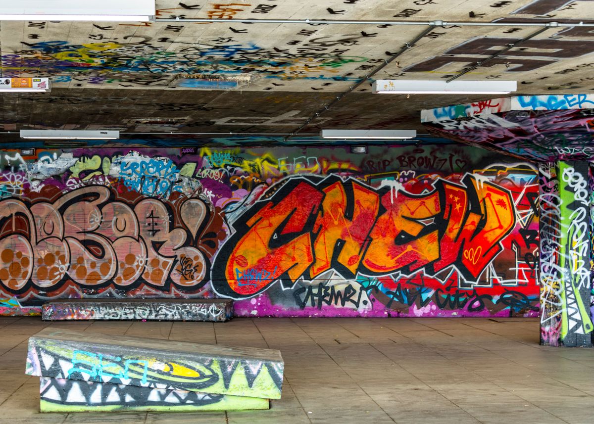 'Graffiti ' Poster, picture, metal print, paint by Svetlana Sewell ...