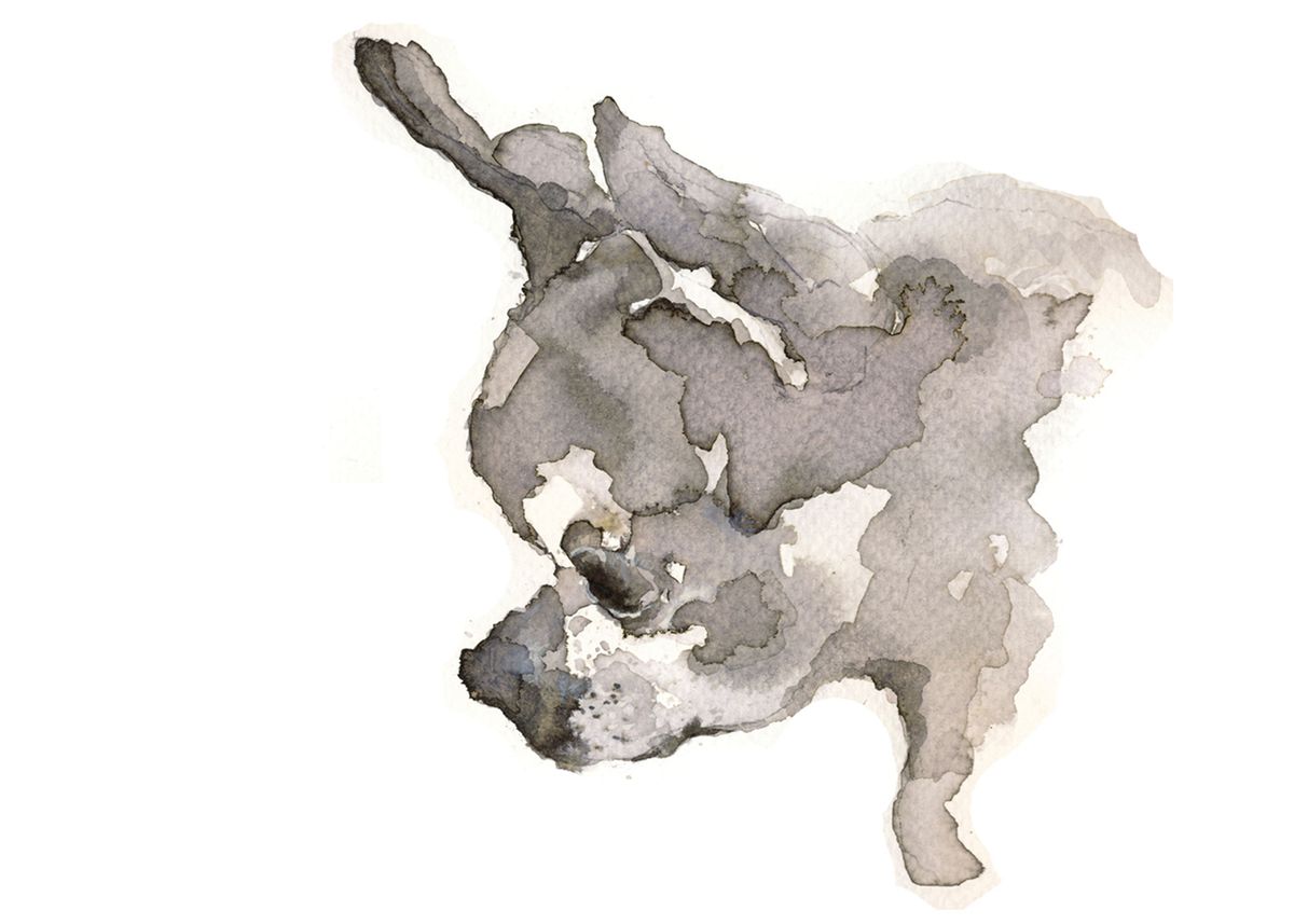 'Chua chua dog' Poster, picture, metal print, paint by Ewa Zwolińska ...