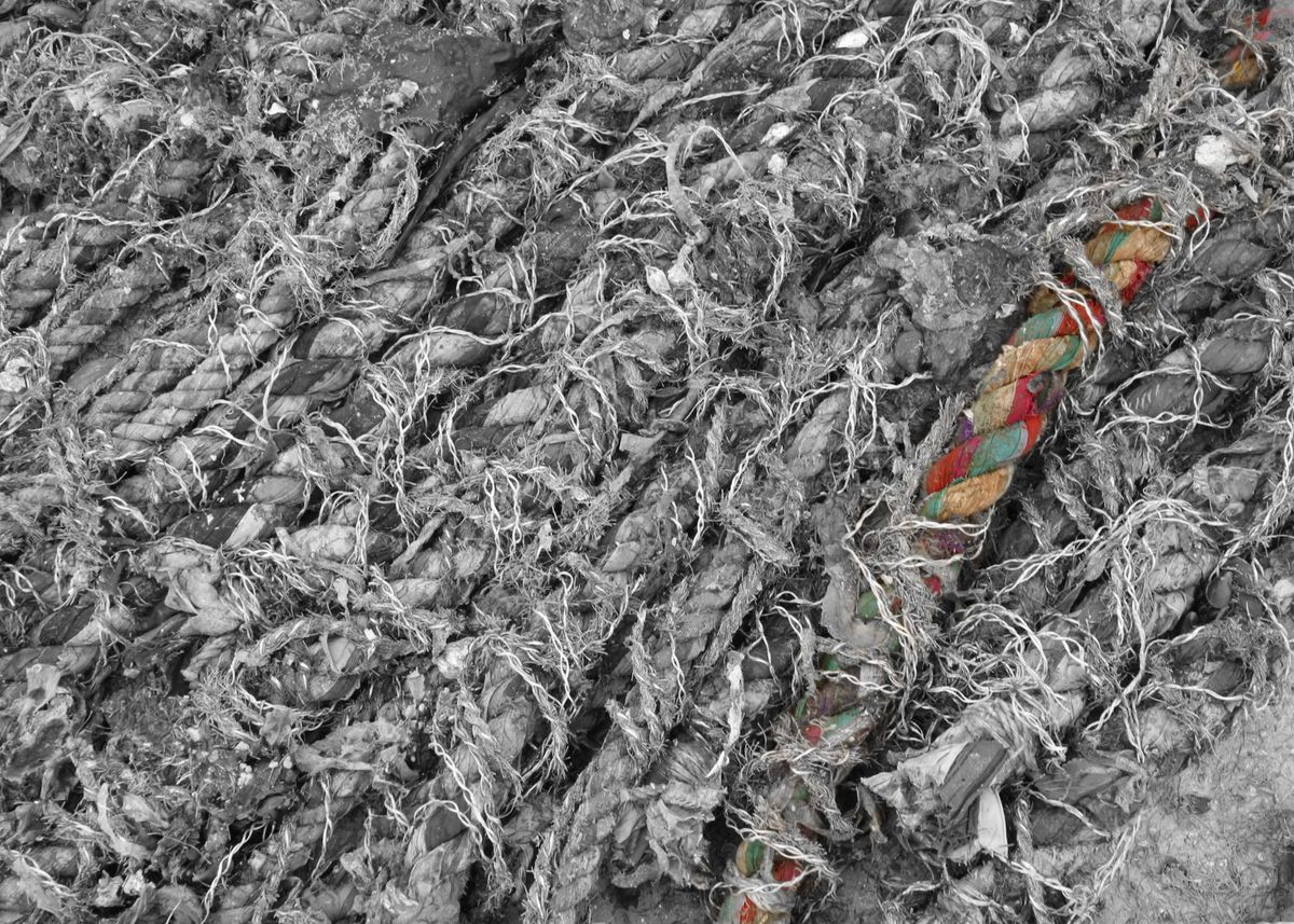 'Rope of Hope' Poster, picture, metal print, paint by Chris Van Niekerk ...