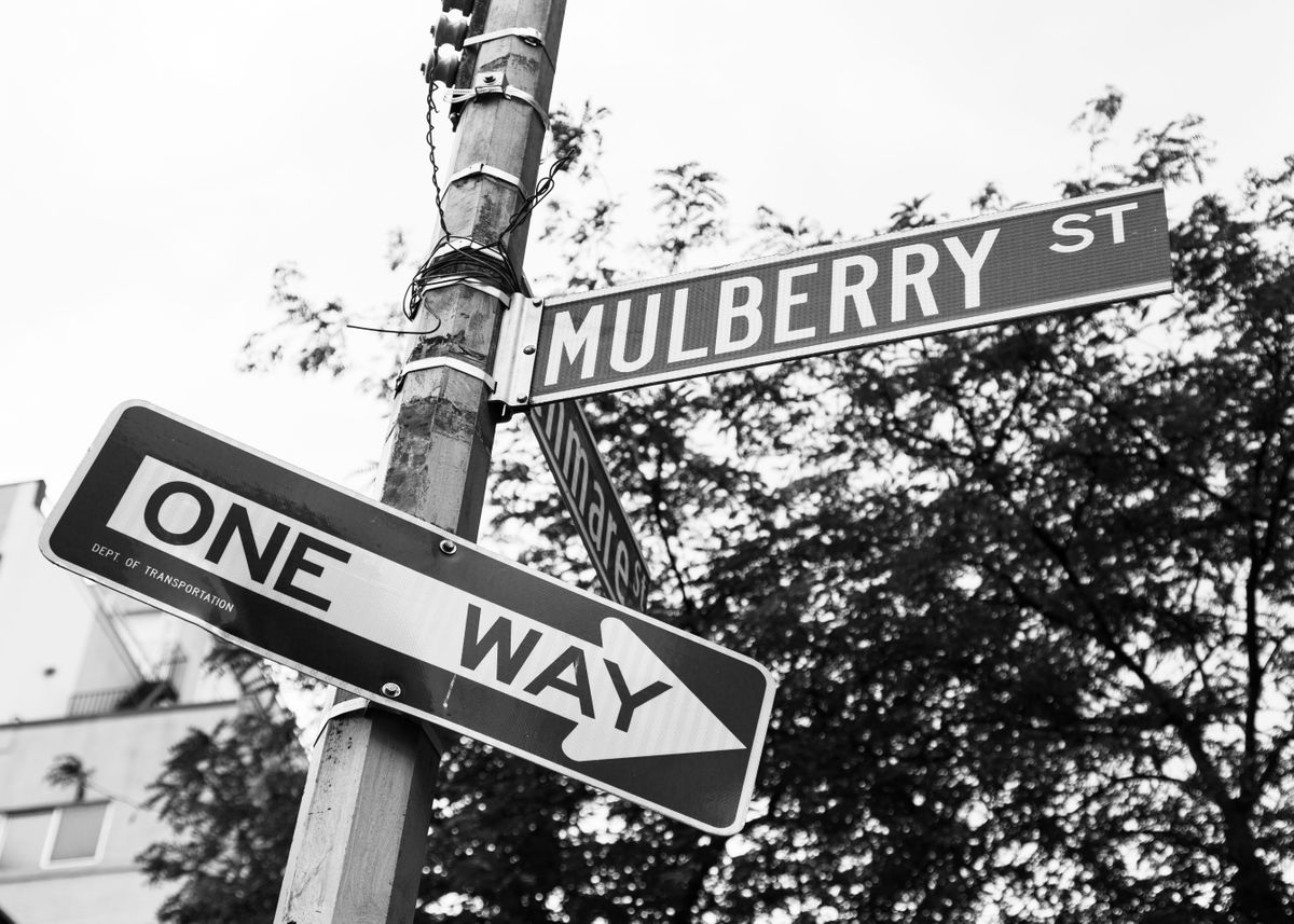 'Mulberry street' Poster, picture, metal print, paint by Giuseppe ...