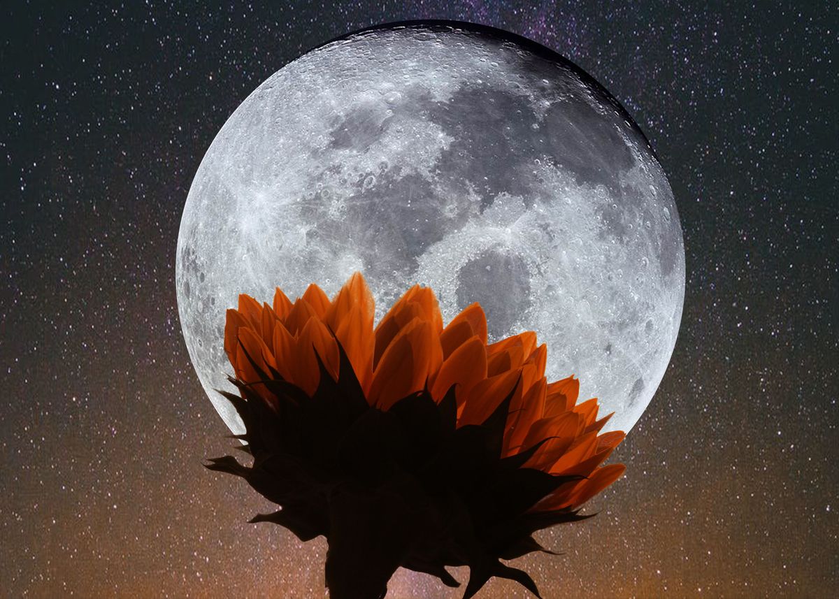 'sunflower and moon' Poster by Julia Moreno | Displate