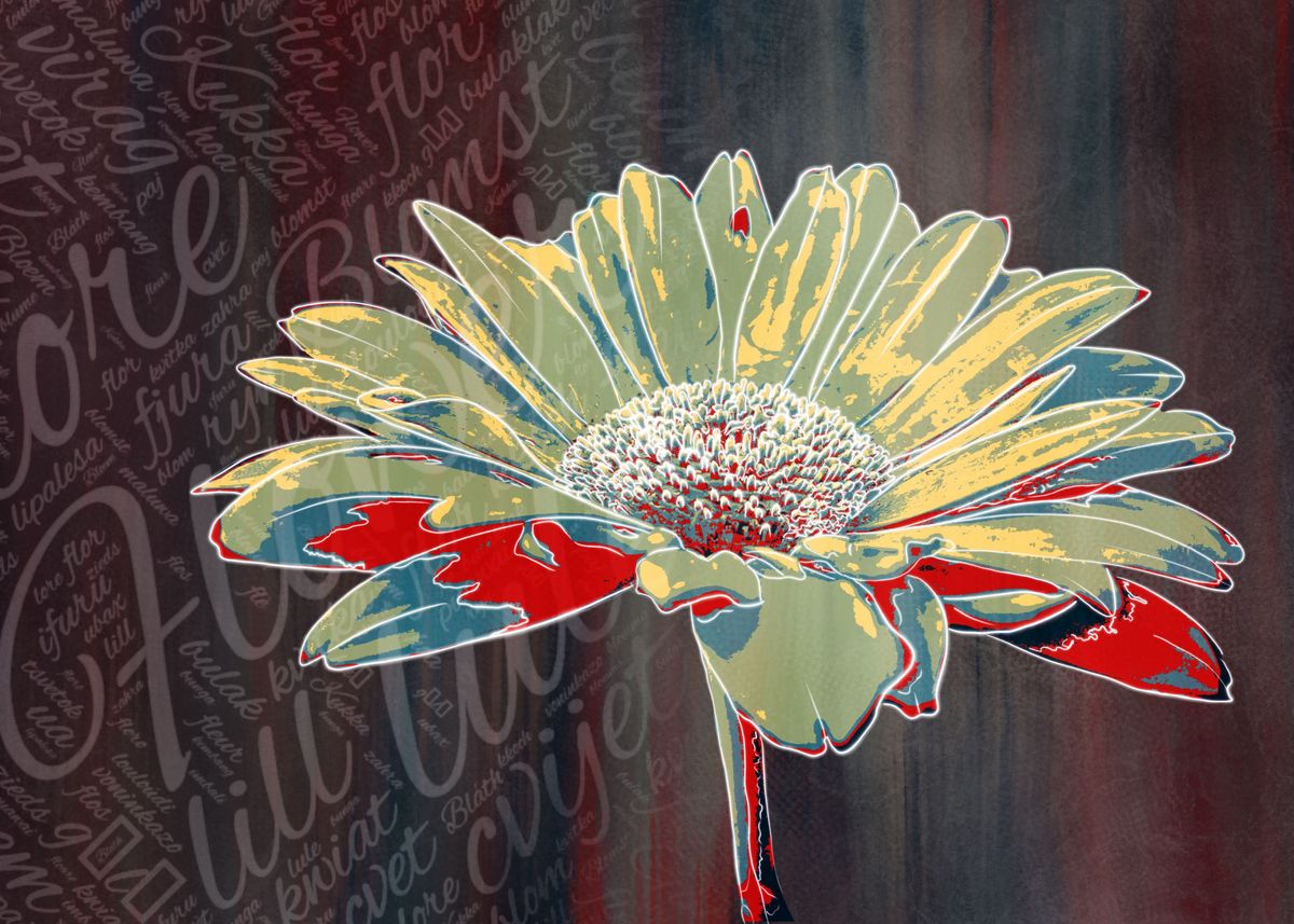 'Flower 3 Cosmos 1' Poster, picture, metal print, paint by Daniel ...