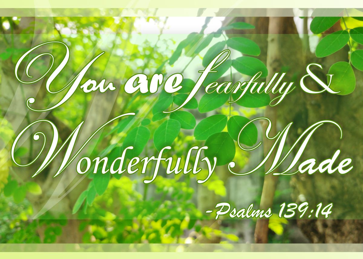 'FEARFULLY MADE' Poster, picture, metal print, paint by Mark Elardo ...