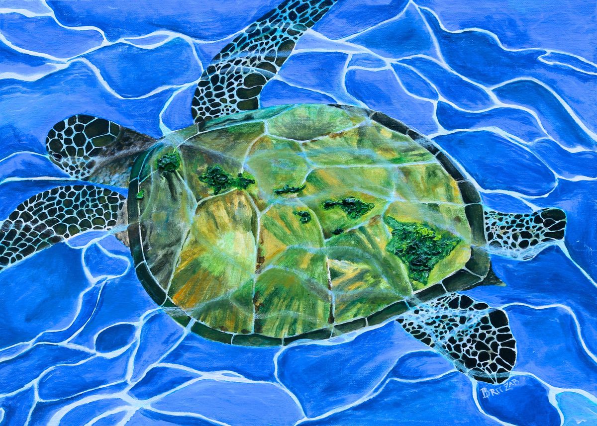 'Hawaiian Honu' Poster, picture, metal print, paint by Brit Zab | Displate