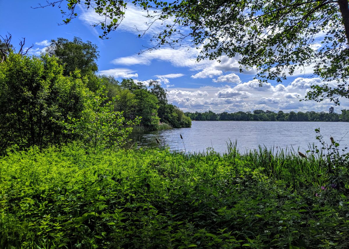 'Virginia Water Lake' Poster by David Hetherington | Displate