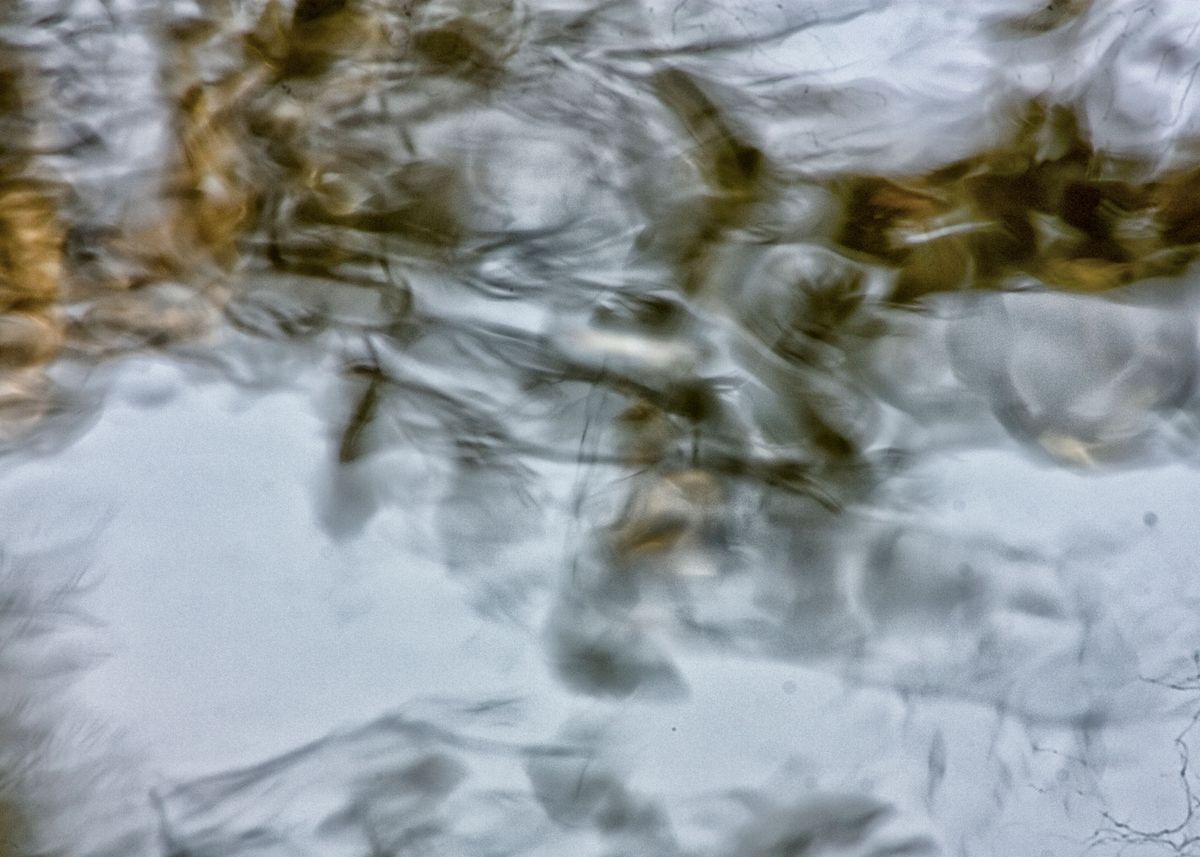 'water speak' Poster, picture, metal print, paint by Crisologo Furtado ...