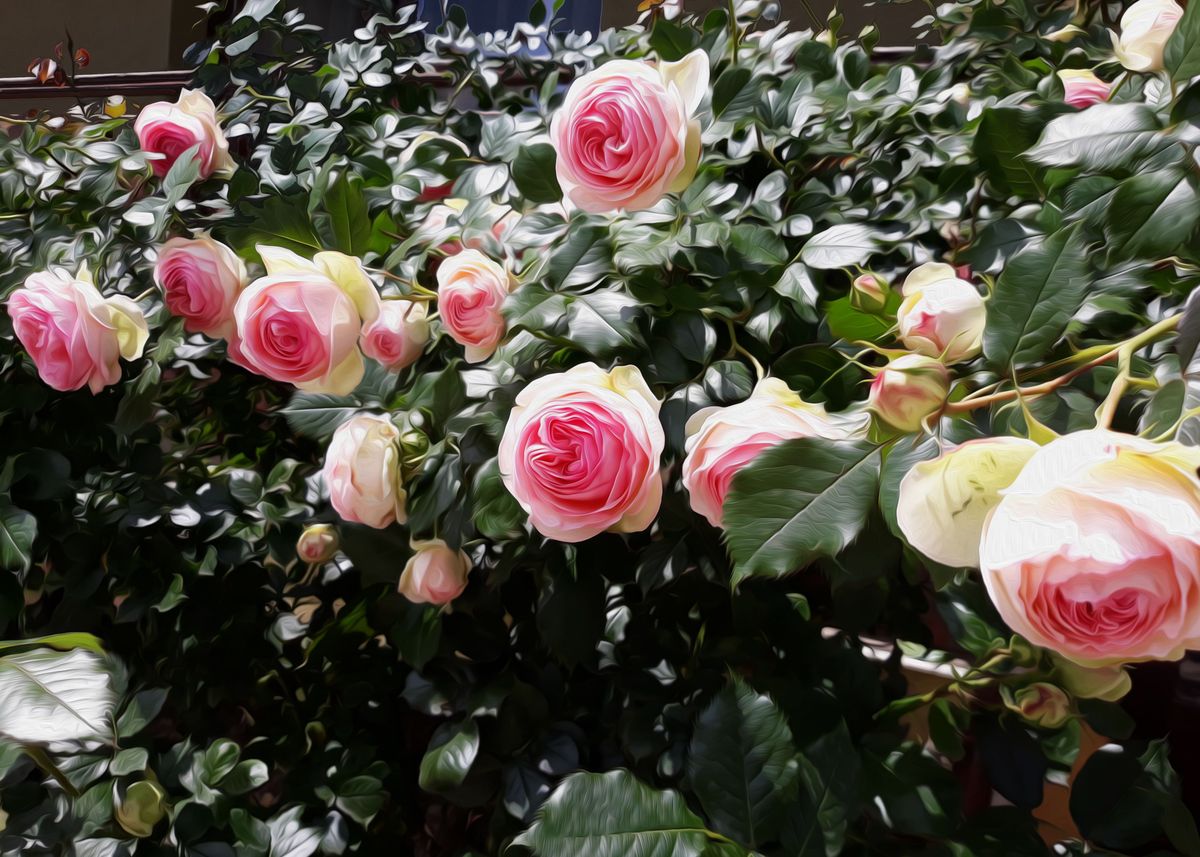 'Rose garden music' Poster, picture, metal print, paint by Edy Art ...